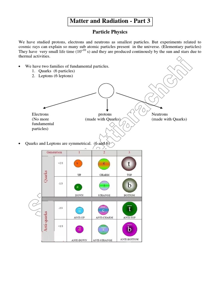 Particle Families and Forces in Physics | PDF | Elementary Particle ...