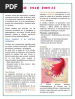 Punto de McBurney | PDF | Abdomen | Síntomas y signos