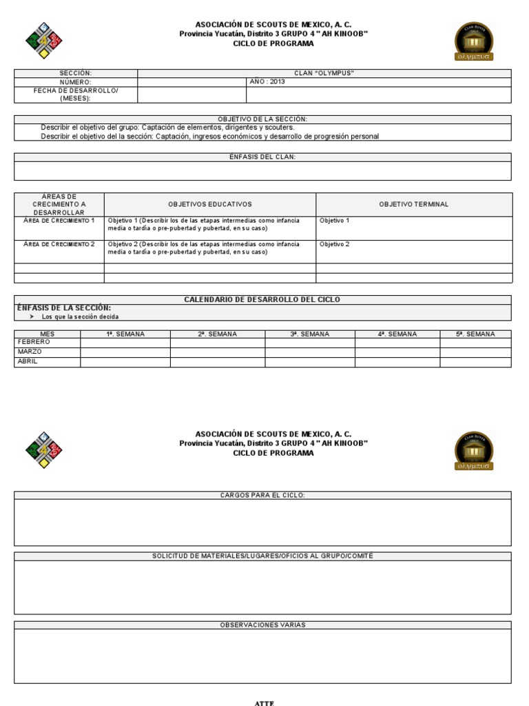 Formato de Ciclo de Programa | PDF
