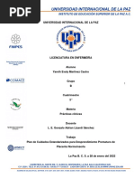 Guía de DPPNI: Diagnóstico y Cuidados | PDF | Parto | Parto prematuro