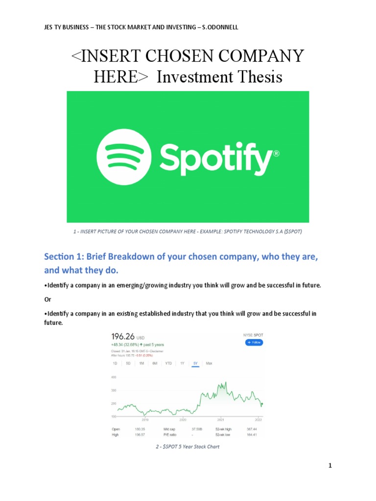 Investment Thesis Report Template Word Version | PDF | Stocks | Stock ...