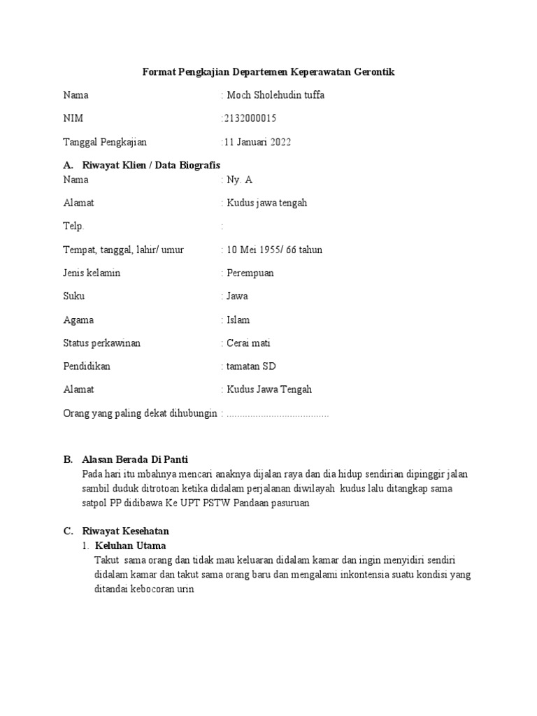 Didin Format Pengkajian Keperawatan Gerontik | PDF