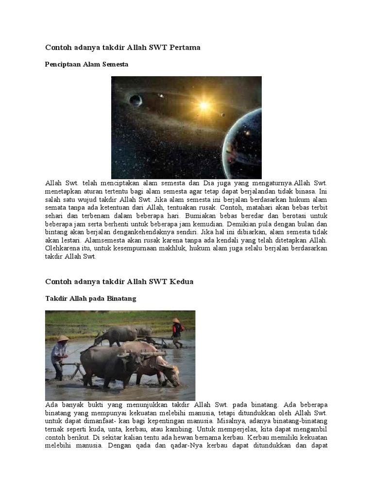 Contoh Adanya Takdir Allah SWT Pertama | PDF