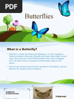 Butterfly Life Cycle and Characteristics | PDF | Butterfly | Insects