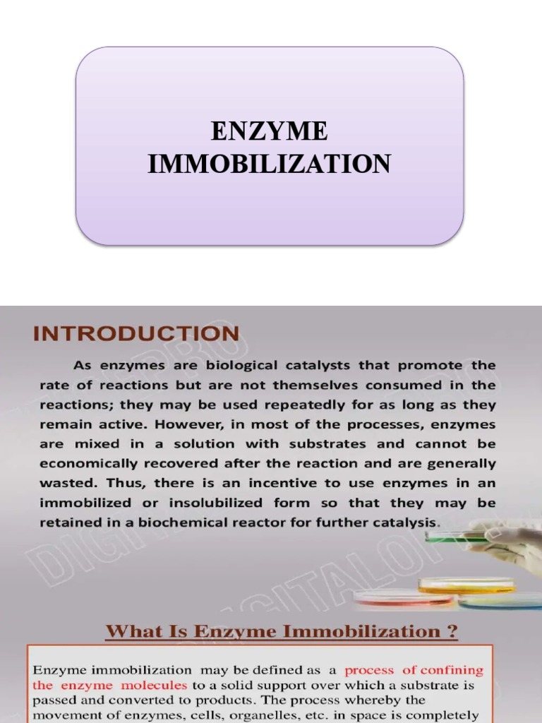 Enzyme Biotechnology | PDF | Enzyme | Biopolymer
