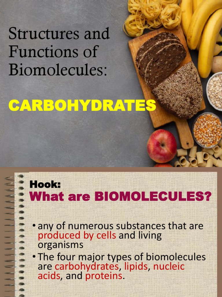 BIO-NOTES - Structures and Functions of Biomolecules-CARBOHYDRATES ...