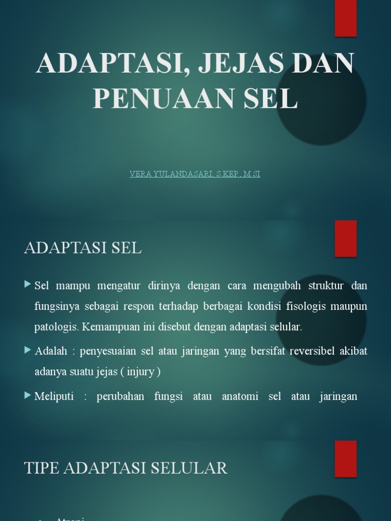 2 Adaptasi, Jejas Dan Penuaan Sel | PDF