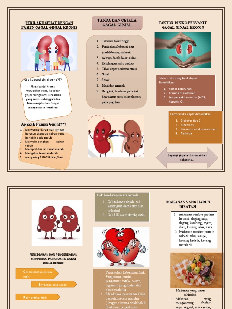 Leaflet CKD | PDF