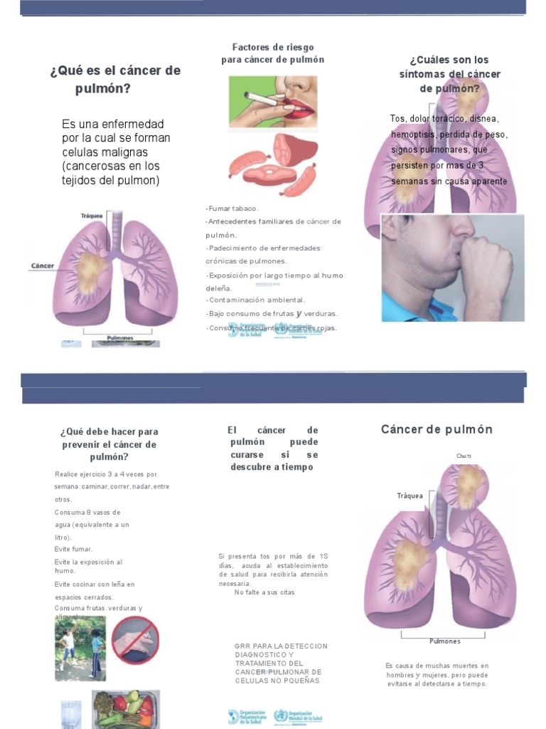 TRIPTICO CANCER DE PULMON Triptico | PDF | Cáncer | Cáncer de pulmón