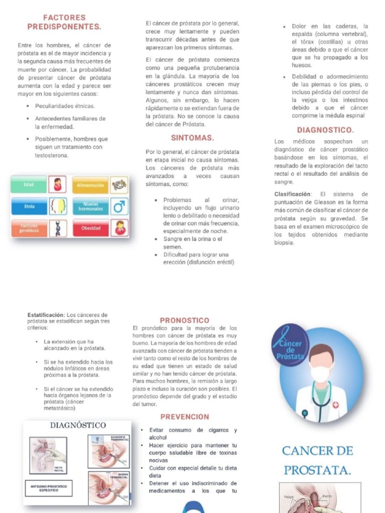 CANCER DE PROSTATA Triptico | PDF