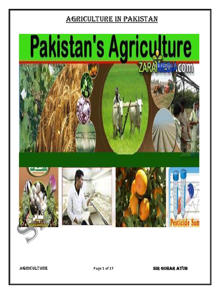 Agriculture Overview in Pakistan | PDF | Agriculture | Sugarcane