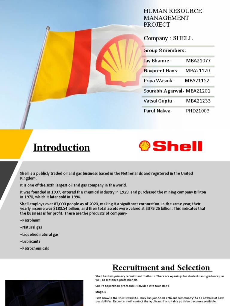 Human Resource Management Project Company: SHELL | PDF | Mentorship ...