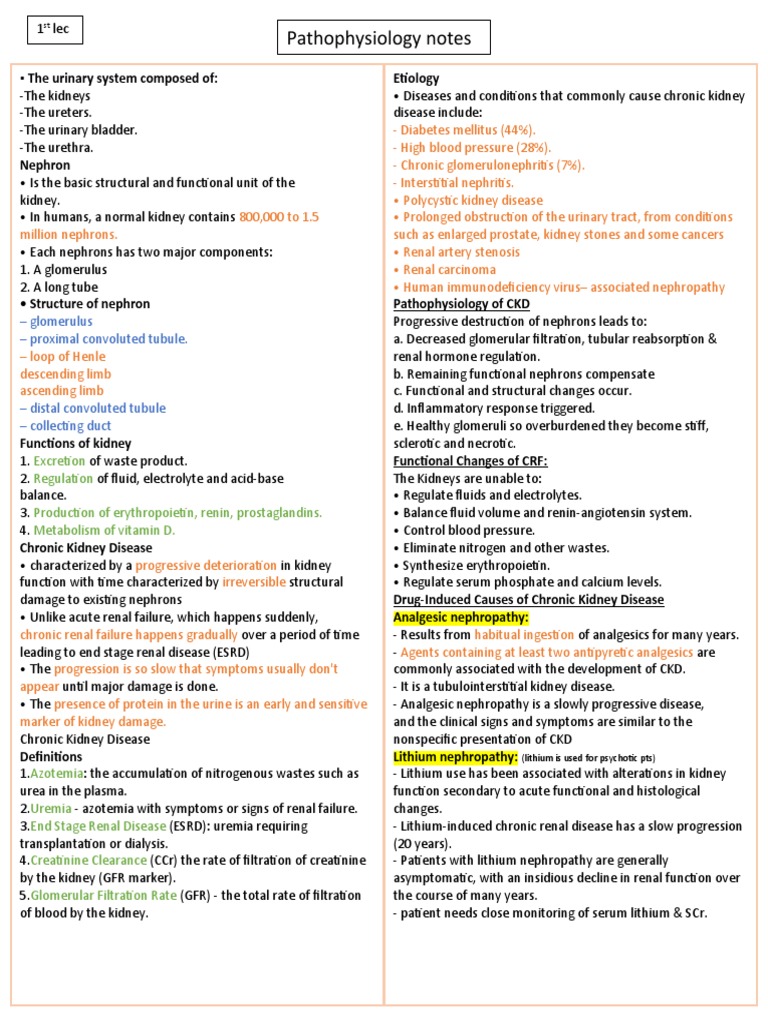 Pathophysiology Notes | PDF | Kidney | Chronic Kidney Disease
