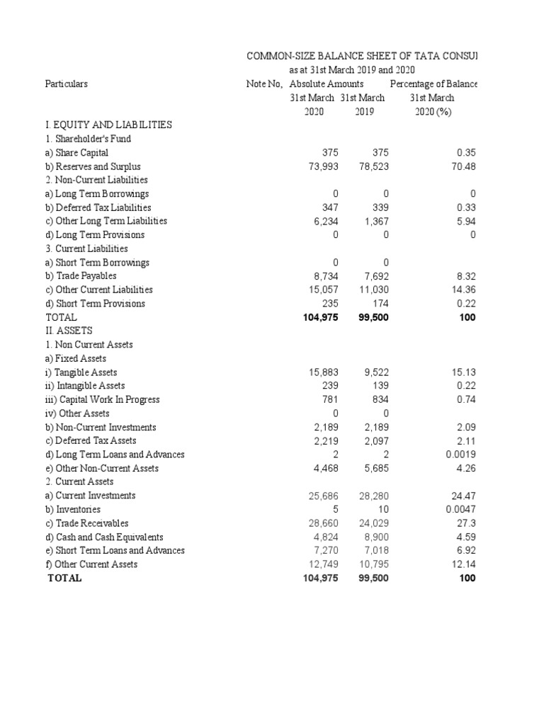 Tata Consultancy Servies Common Size | PDF | Balance Sheet | Business