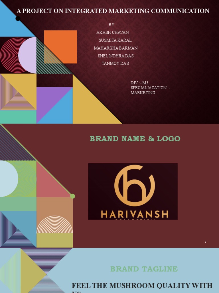 Integrated Marketing Communication Project | PDF | Revenue | Marketing