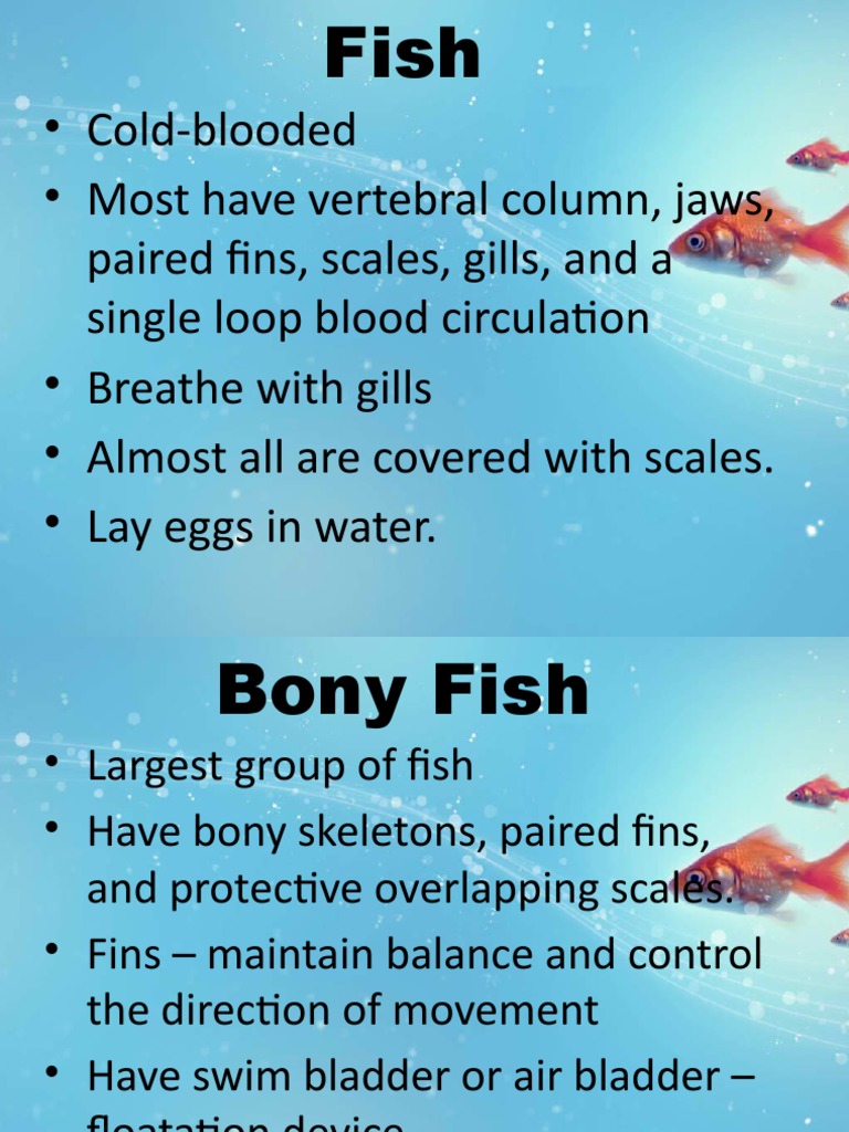 Key Characteristics of Fish Types | PDF