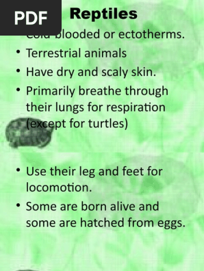Reptiles Characteristics