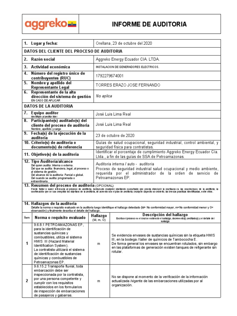 Modelo de Informe de Auditoria Interna | PDF | Auditoría