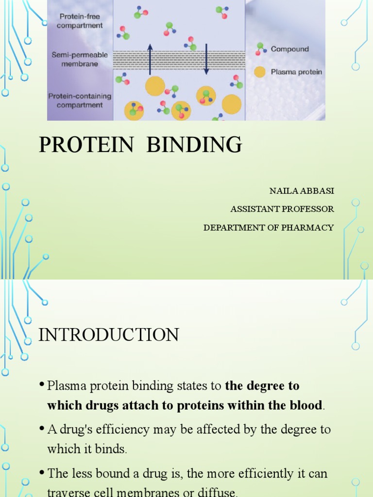 Protein Binding | PDF | Medical Treatments | Medical Specialties