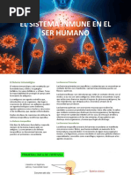 Mapa Conceptual-Sistema Inmune | PDF
