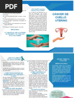 Tríptico sobre Cáncer Cervicouterino | PDF | Cáncer de cuello uterino ...