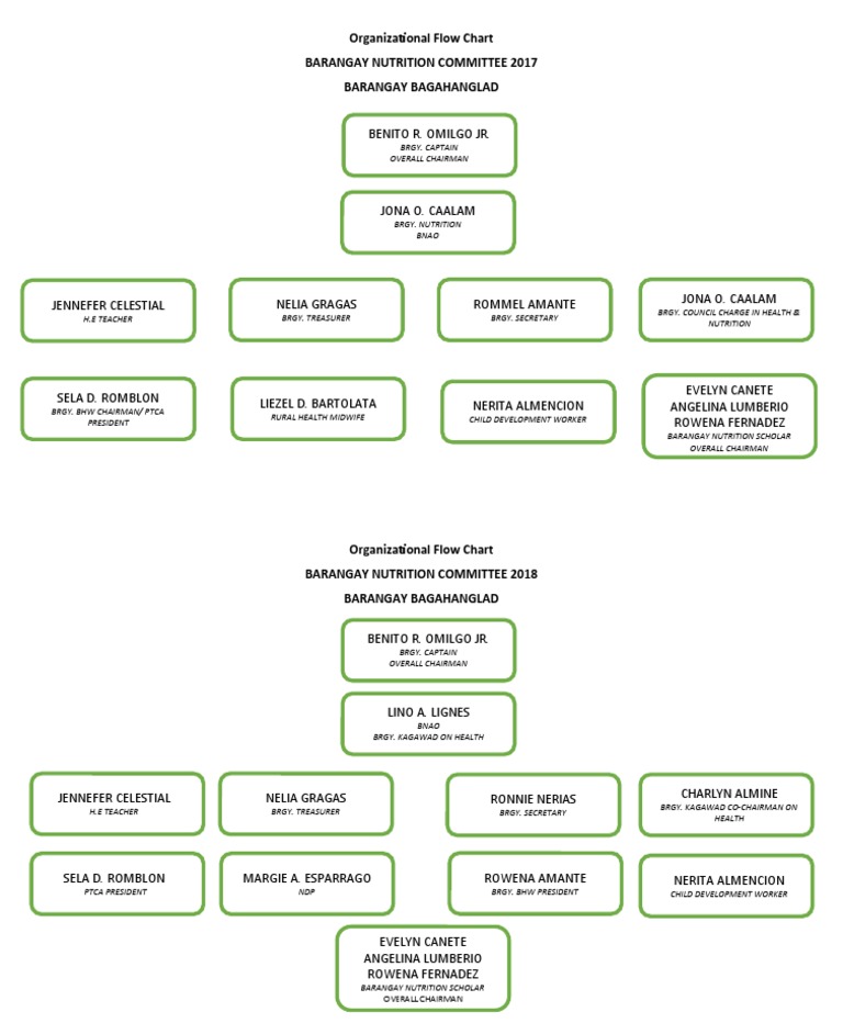 Benito R. Omilgo JR.: Organizational Flow Chart Barangay Nutrition ...