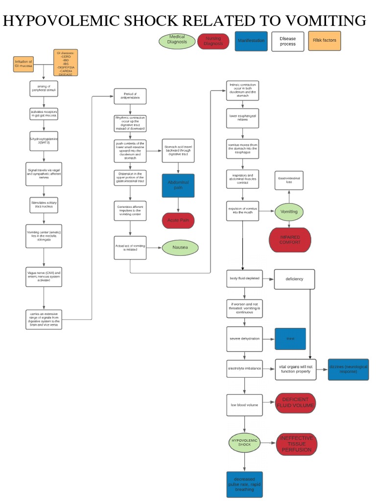 Pathophysiology Hypovolemic Vomiting | PDF