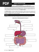 Science Grade 8: Quarter 4 - Module 1 The Digestive System | PDF | Digestion | Human Digestive ...