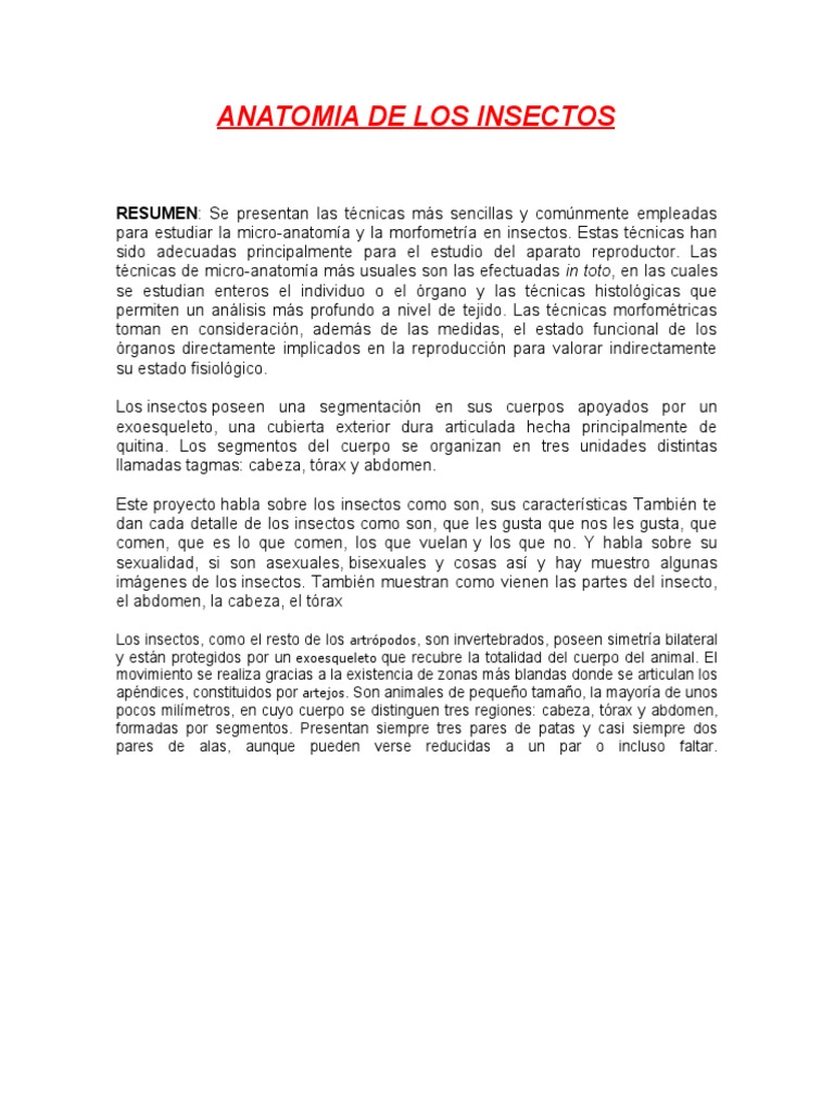 Anatomia de Los Insectos | PDF | Insectos | Sistema respiratorio