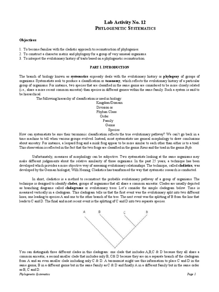 Lab Activity No. 12 Phylogenetic Systematicsf | PDF | Clade ...
