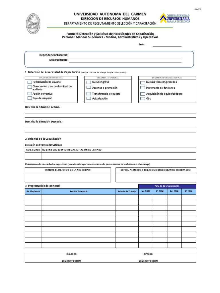 Formato DNC | PDF | Gestión de recursos humanos | Informática