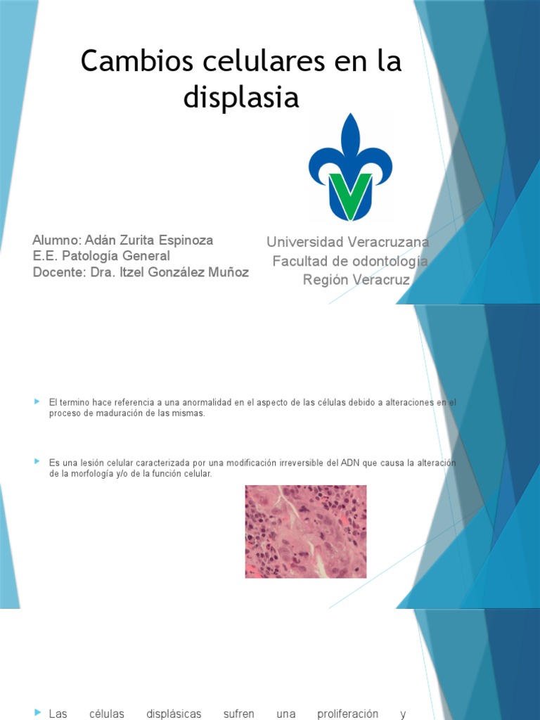 Cambios en la Displasia Celular | PDF | Epitelio | Biología Celular)