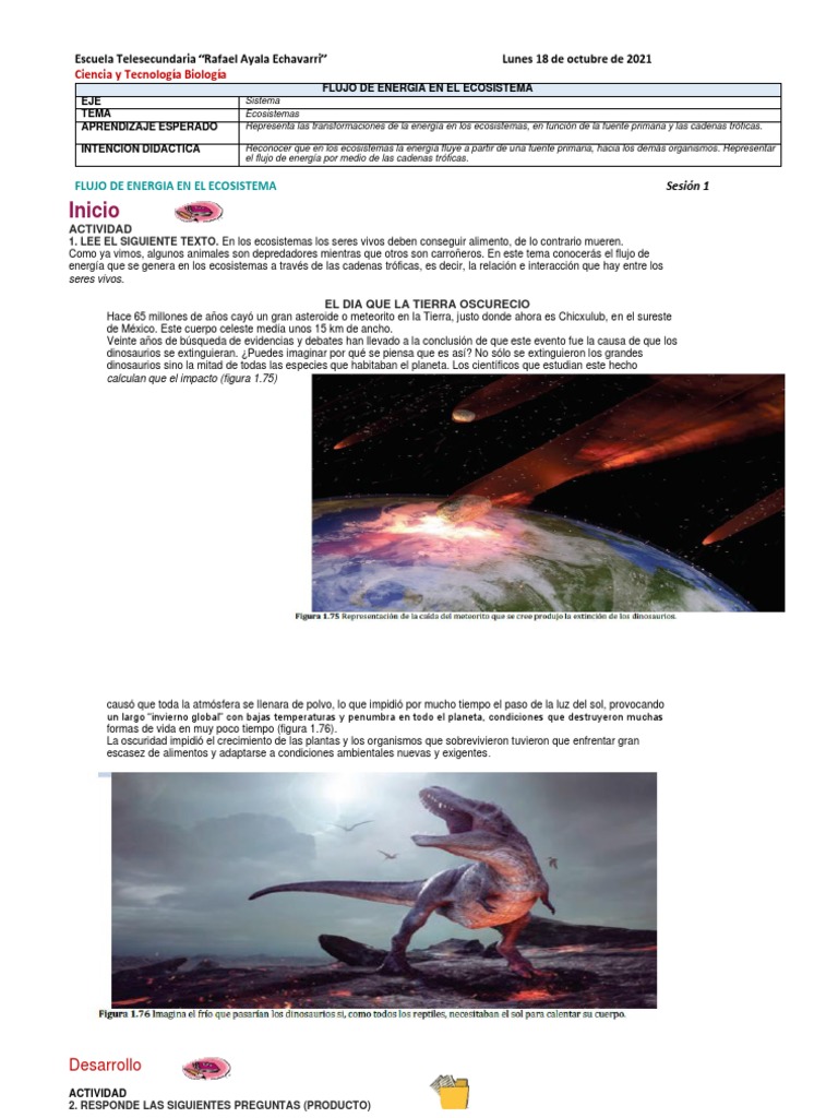 C y T Biología. Flujo de Energía en El Ecosistema. Lunes 18 de Octubre ...