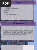 Plan Piloto Brasilia | PDF | Política | Viajes y turismo