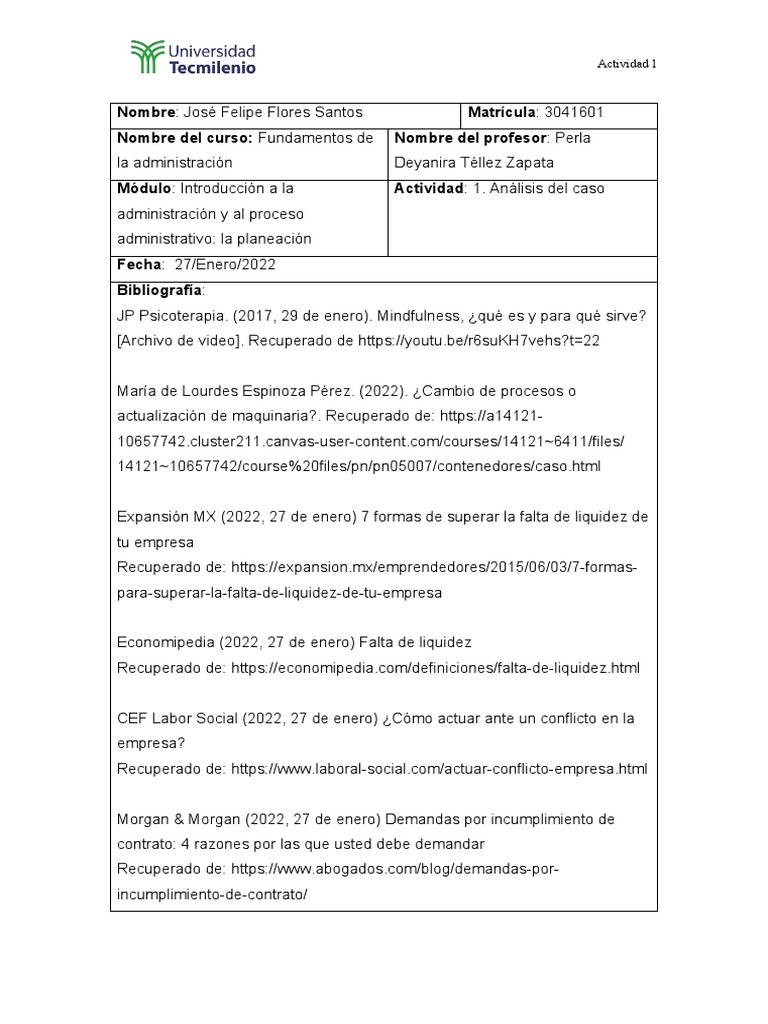 Actividad 1 JFFS | PDF | Business | Planificación