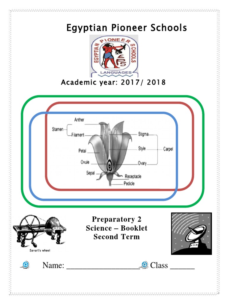 Science Booklet For Prep 2 | PDF | Waves | Sound