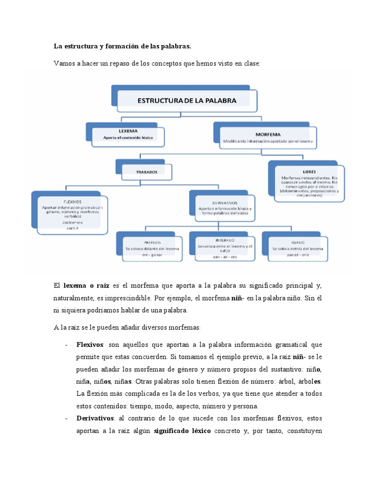 Estructura y Formación de Las Palabras | PDF | Palabra | Numero Gramatical