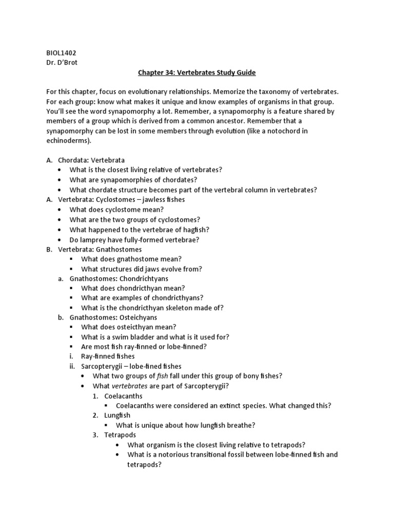 Chapter 34: Vertebrates Study Guide | PDF | Vertebrates | Fish
