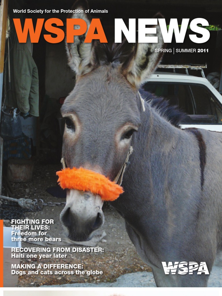 WSPA News - Spring Summer 2011 | PDF | Animals And Humans | Animal Welfare