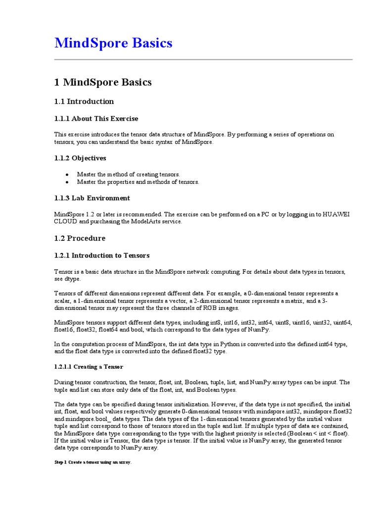 MindSpore Basics | PDF | Boolean Data Type | Tensor
