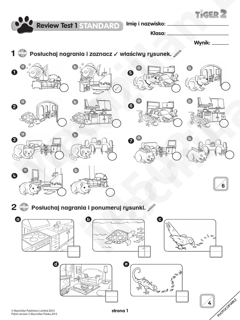 Tiger 2 Review Test 1 STANDARD | PDF