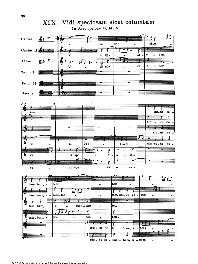 Vidi Speciosam (Victoria) | PDF