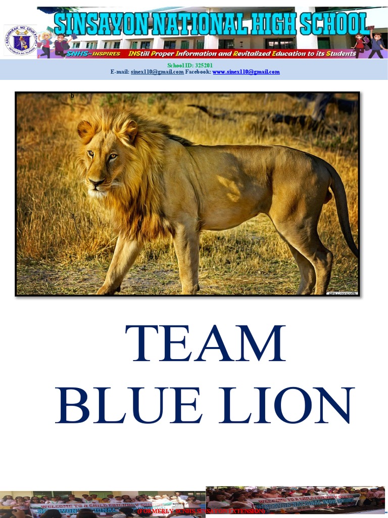 Team Intramurals 2019 Final | PDF | Leisure | Sports