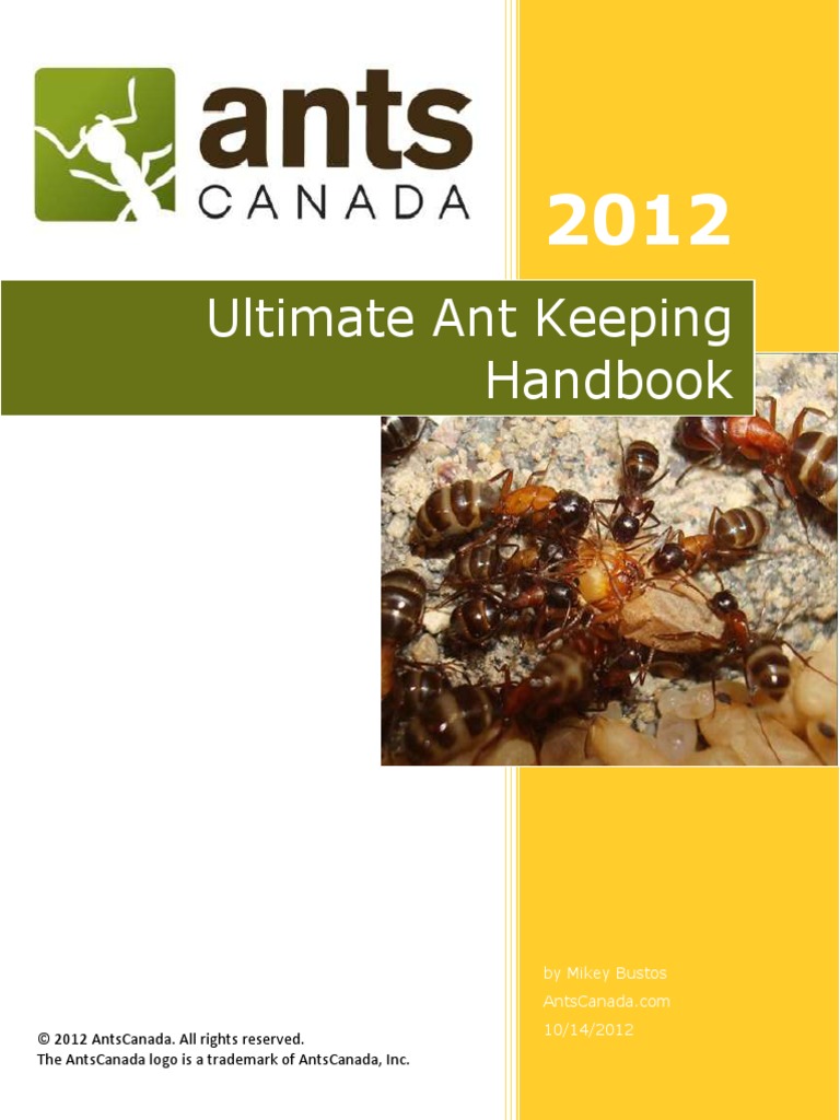 Antscanada Ultimate Ant Keeping Handbook1 PDF Free | PDF | Pupa | Ant