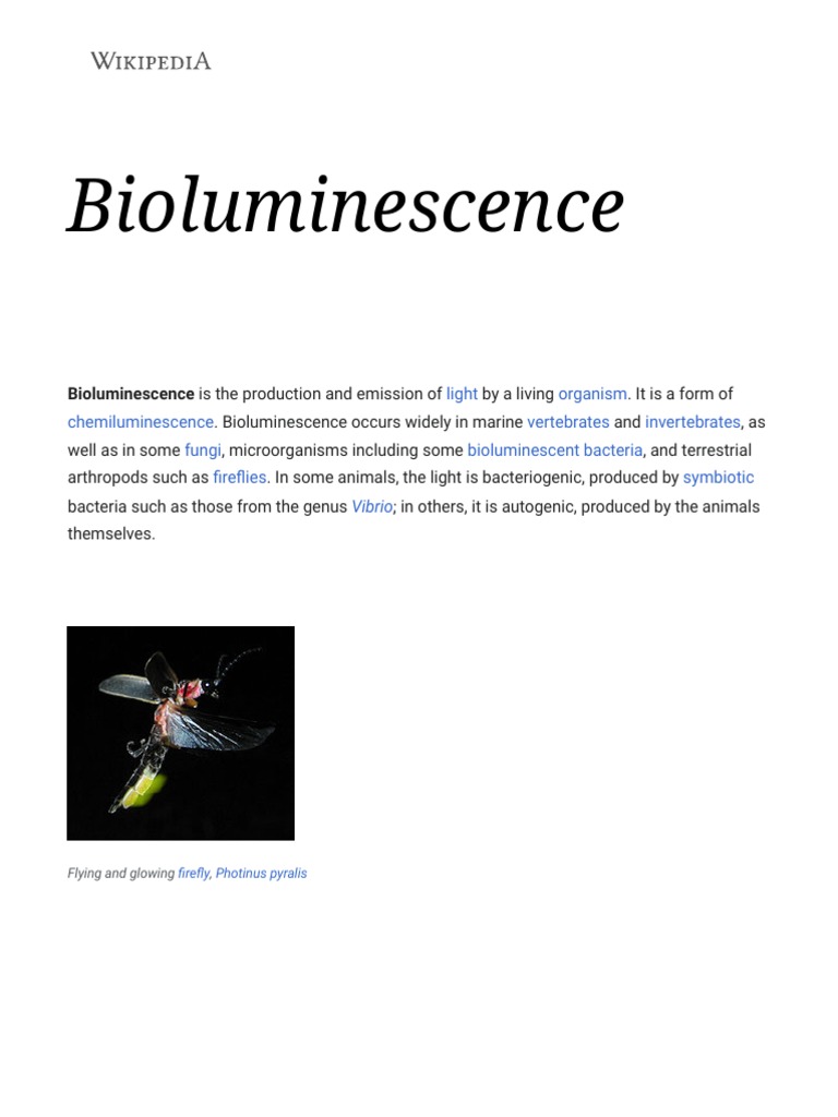 Understanding Bioluminescence Mechanics | PDF | Luciferase | Organisms