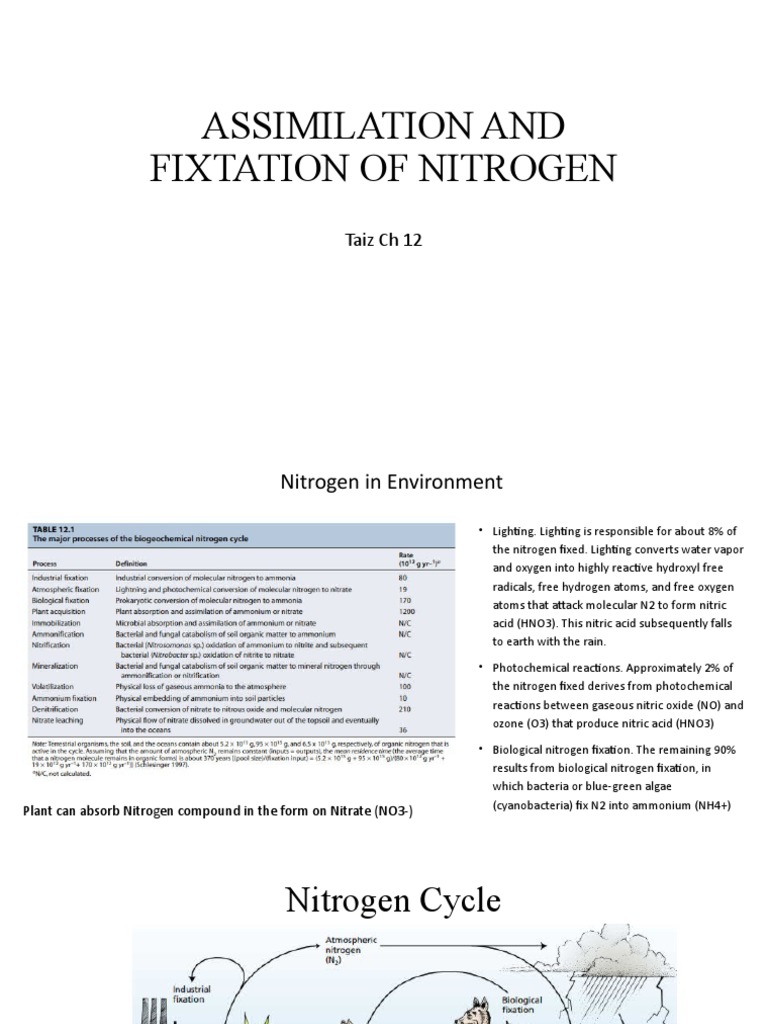 Assimilation and Fixtation of Nitrogen: Taiz CH 12 | PDF | Physical ...