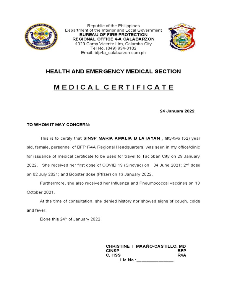 Medical Certificate For Travel | PDF | Pediatrics | Health Care