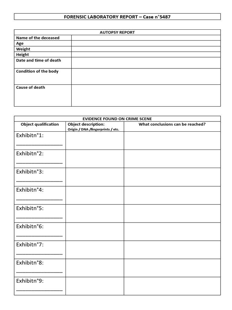 Forensic Laboratory Report - Case N°5487 | PDF
