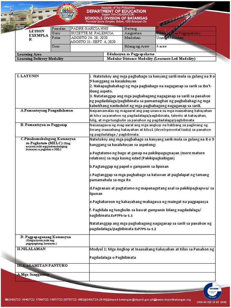 ESP Lesson Exemplar Grade 7 | PDF
