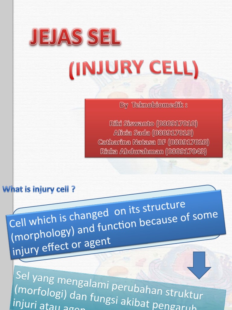 Jejas Sel | PDF | Necrosis | Apoptosis